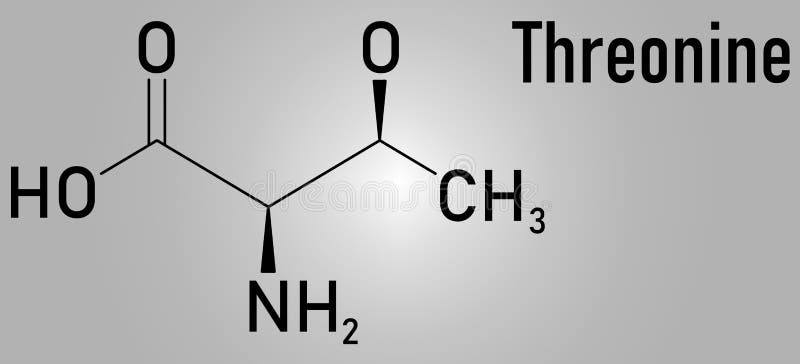 Threonine Or L Threonine Thr T Amino Acid Molecule Skeletal Formula Stock Vector