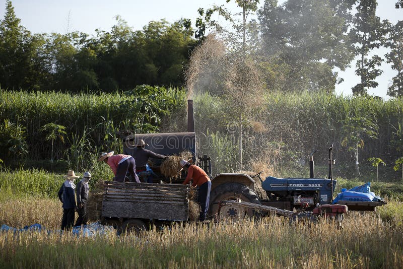 Thresh editorial stock image. Image of large, hauling - 62020914