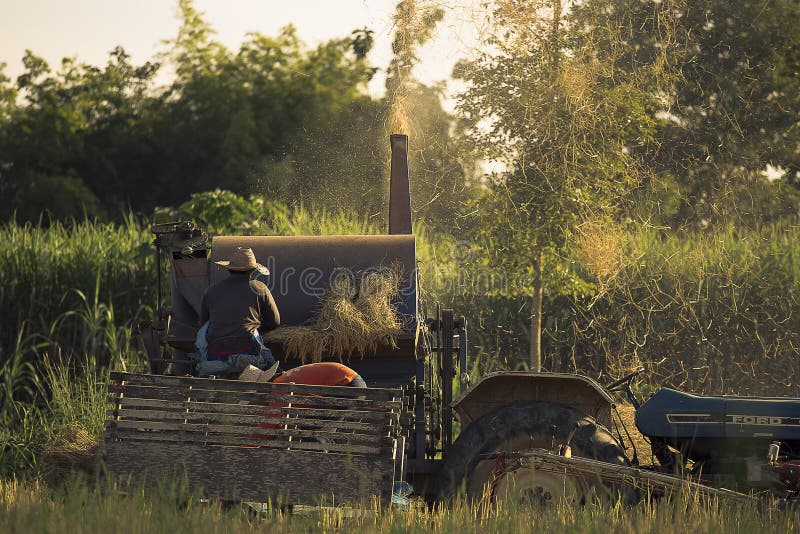 Thresh editorial stock image. Image of separates, handcart - 62021104