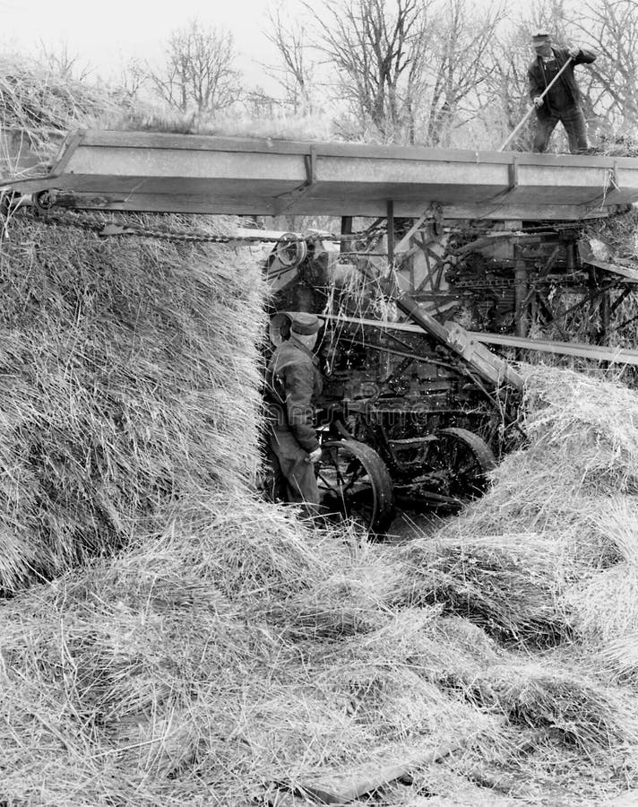 Threshing stock photo. Image of farmland, machinery, farming - 45156