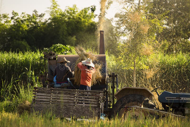 Threshing stock photo. Image of chiefly, rear, handcart - 62028842