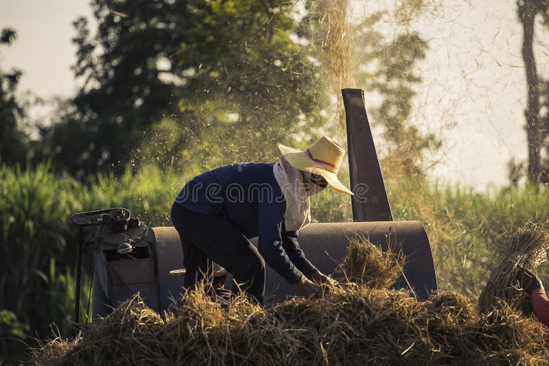 Threshing editorial photo. Image of barrow, equipment - 62029626