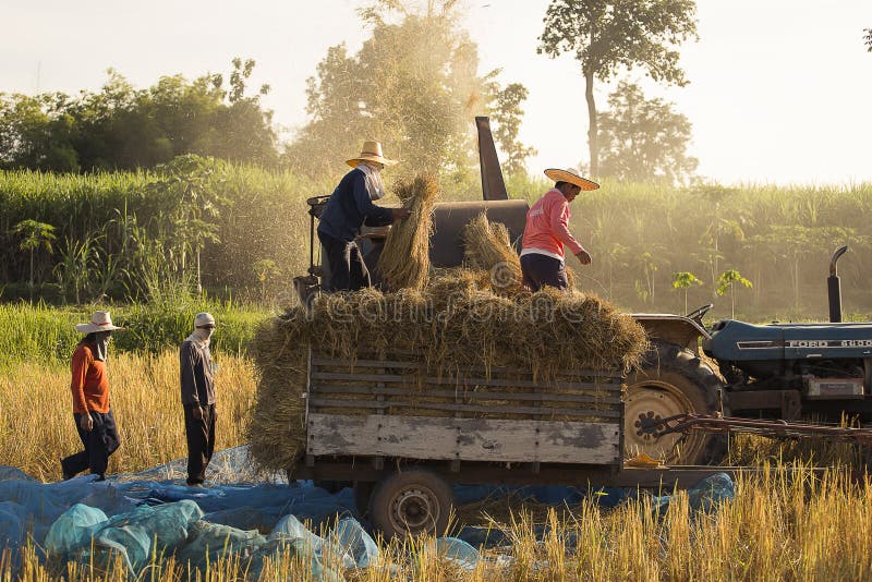 Threshing editorial photography. Image of action, mechanism - 62030657
