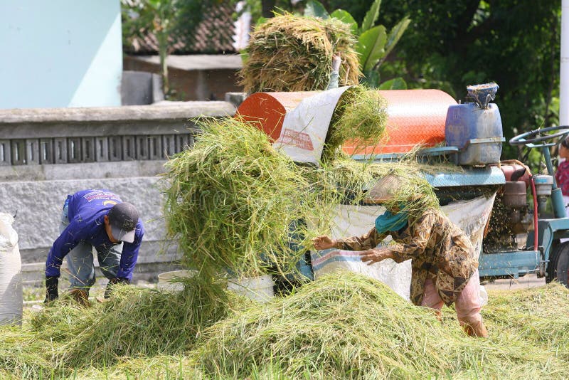 Tool Box on an Old Threshing Machine Stock Image - Image of hasp ...