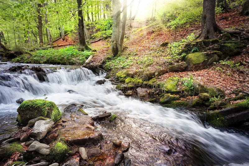 Threshold on the River Flowing in Forest Stock Photo - Image of flowing ...
