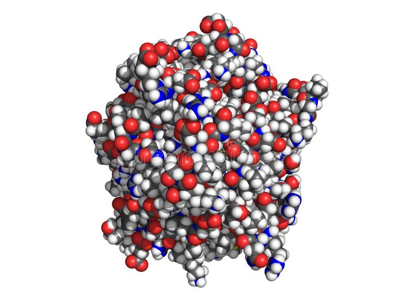 Thrombin Stock Illustrations – 161 Thrombin Stock Illustrations ...