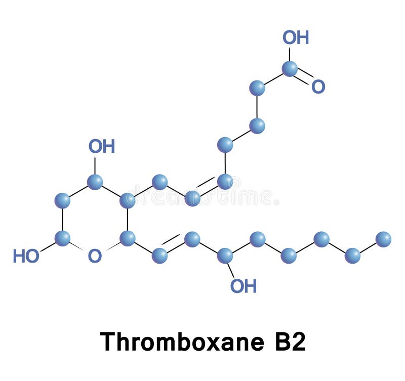 Thromboxane B2 is an Inactive Stock Vector - Illustration of chemistry ...
