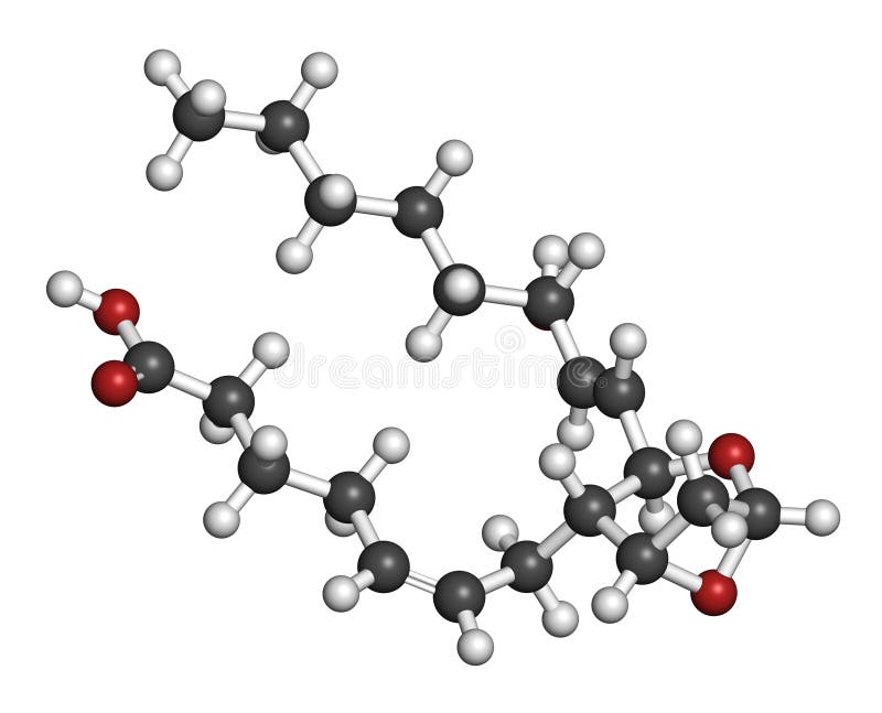 Thromboxane A2 TXA2 Molecule. 3D Rendering. Atoms are Represented As ...