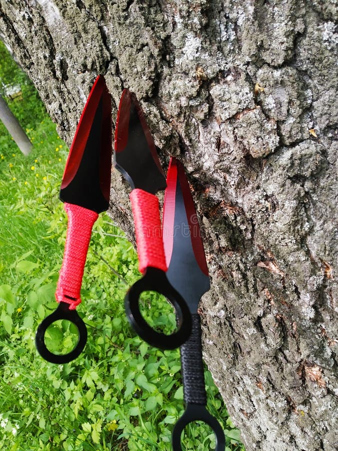 Kunai Combat Throwing Knife Stock Image - Image of bayonet, hunting ...