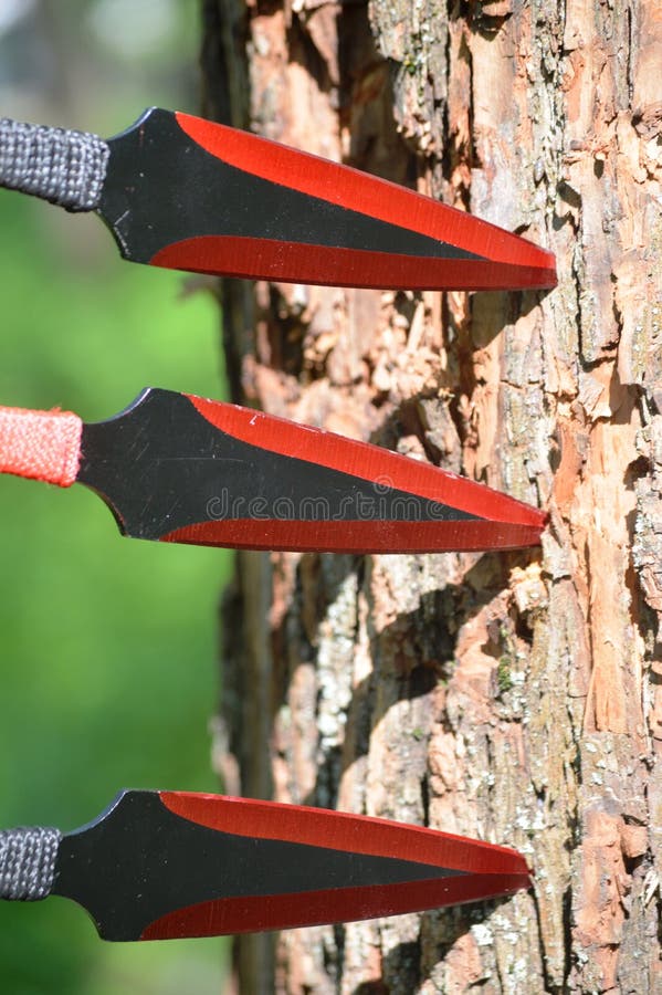 Throwing Knife stock image. Image of hobby, military - 248644065