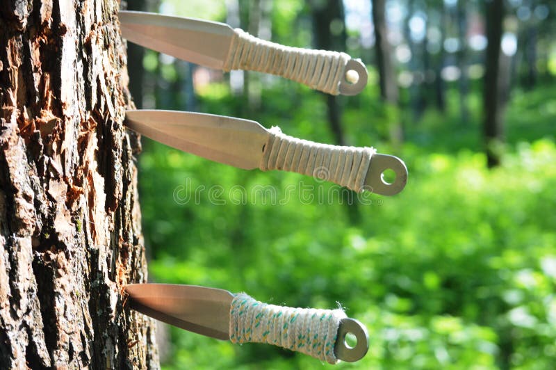 Throwing Knife stock photo. Image of center, handle - 248644144