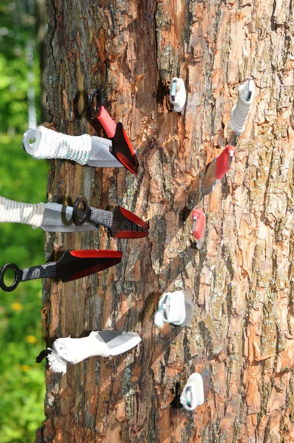 Throwing Knife stock image. Image of leisure, cuts, board - 248644269
