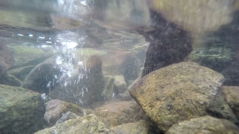 Stone falling in water stock video. Video of stone, 1000fps - 43275795