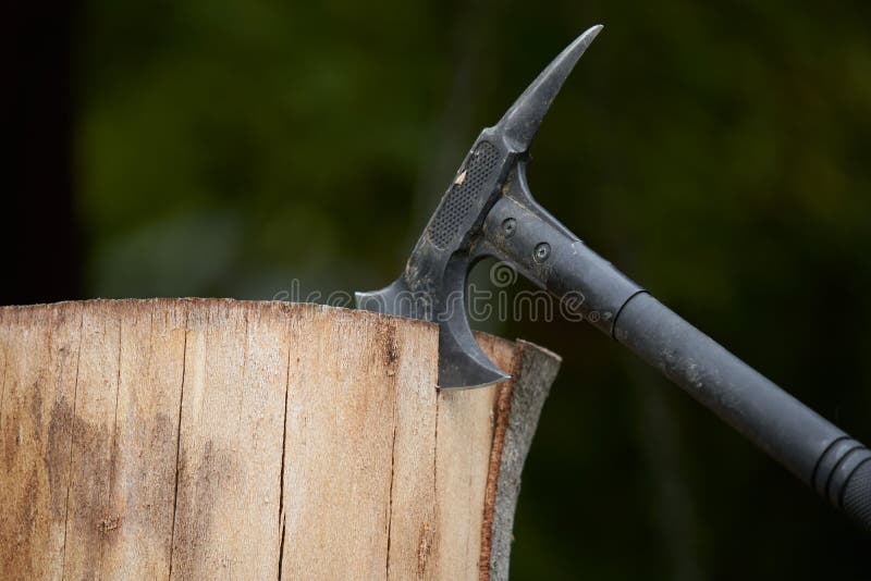 Throwing Tomahawk in a Stump Stock Photo - Image of isolated, brown ...