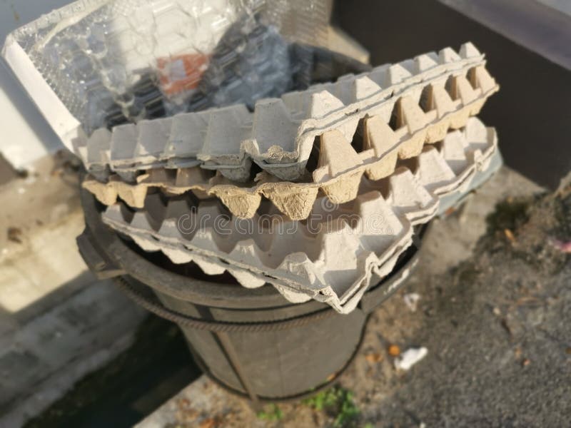 Thrown Away Empty Egg Carton Boxes on the Black Trash Bin. Stock Image ...