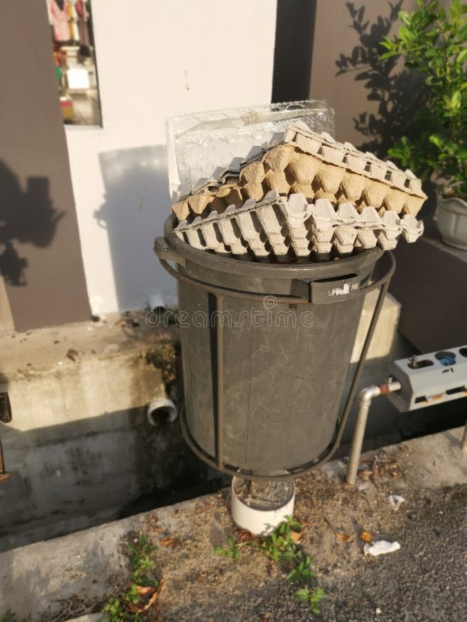 Thrown Away Empty Egg Carton Boxes on the Black Trash Bin. Stock Image ...
