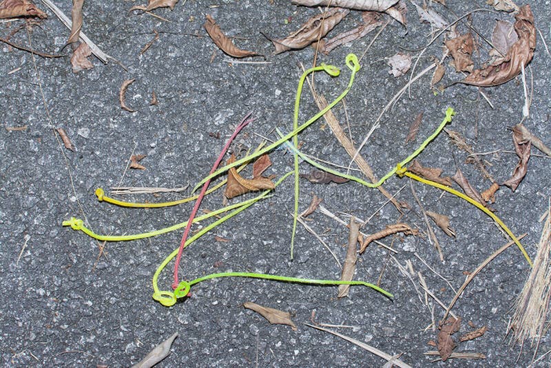 Junk Lawn Mower Stock Photos - Free & Royalty-Free Stock Photos from ...