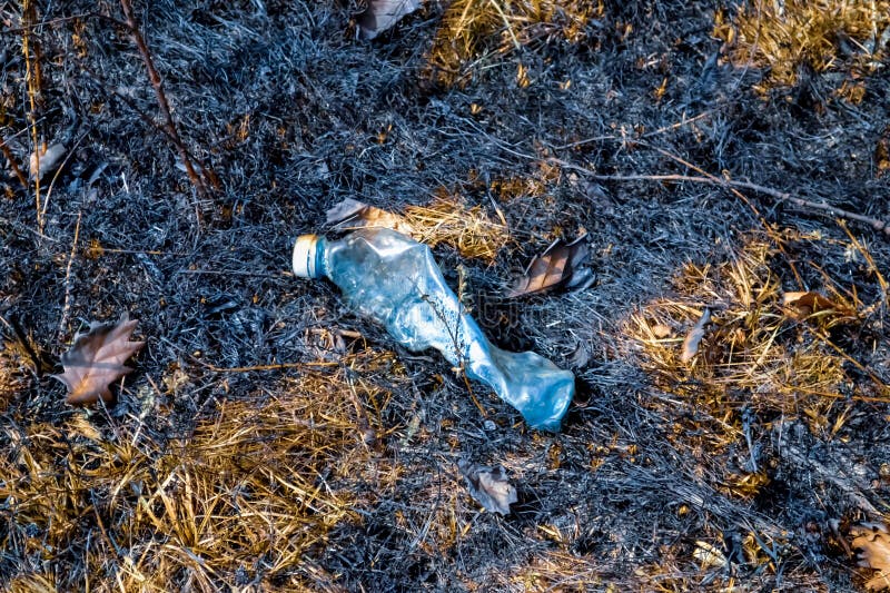 Thrown Plastic Bottle in Nature Stock Photo - Image of bottle ...