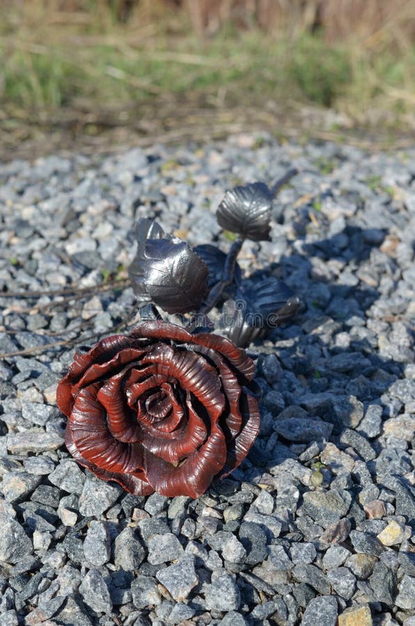 A thrown rose stock photo. Image of invitation, manufacturer - 88428328