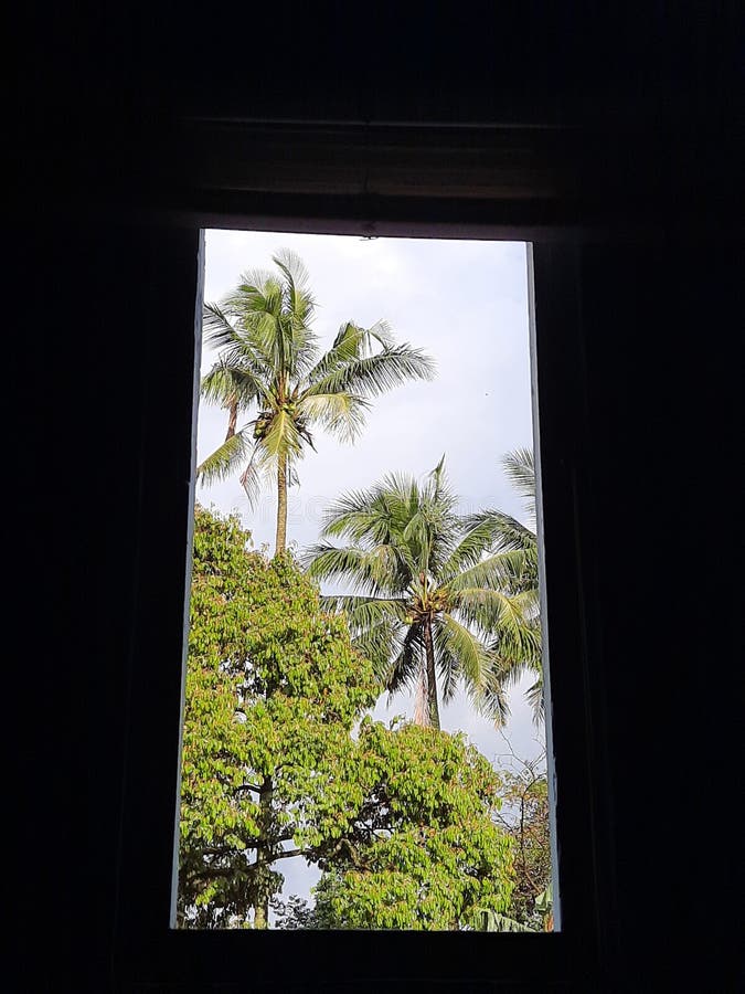 Thru the window stock image. Image of bright, window - 220458795