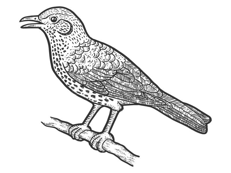 Thrush Bird Logo