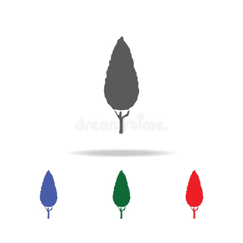 Thuja. Black Tree Icon. Set of Silhouette of Tree Icons. Web Icons ...