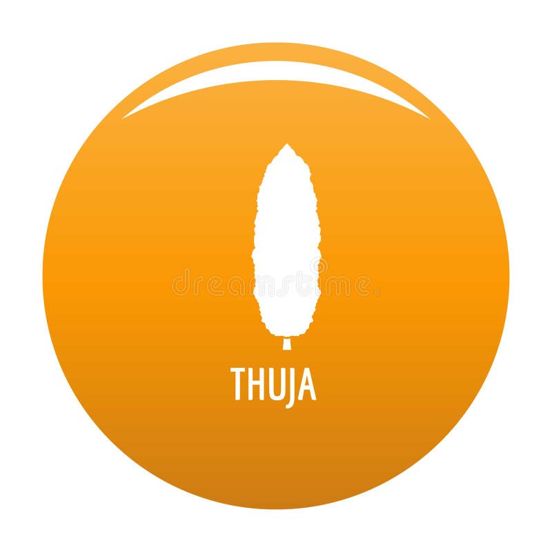 Thuja Tree Icons Circle Set Vector Stock Vector - Illustration of park ...