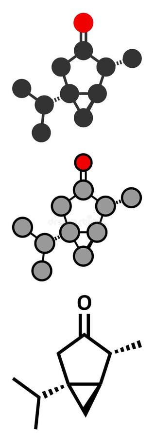 Thujone Absinthe Molecule, Chemical Structure. Skeletal Formula. Stock ...