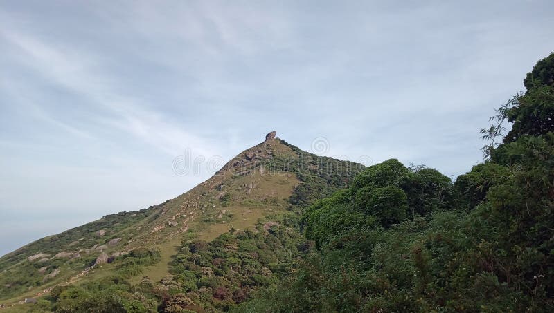 Thulish stock image. Image of tree, thulish, beld, hous - 124085619