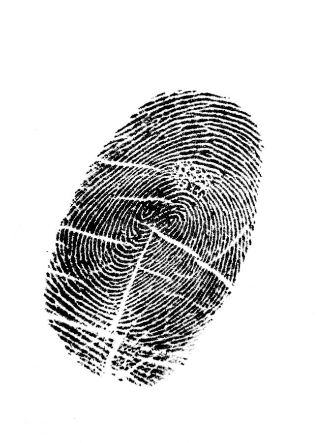 Thumbprint stock photo. Image of thumb, identity, impression - 151612