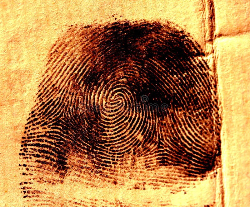 Thumbprint stock photo. Image of fake, covering, biometric - 7447392