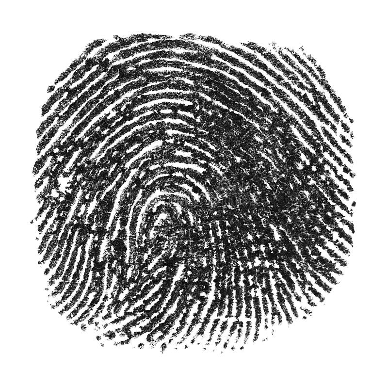 Real fingerprint stock photo. Image of finger, allegory - 25787622