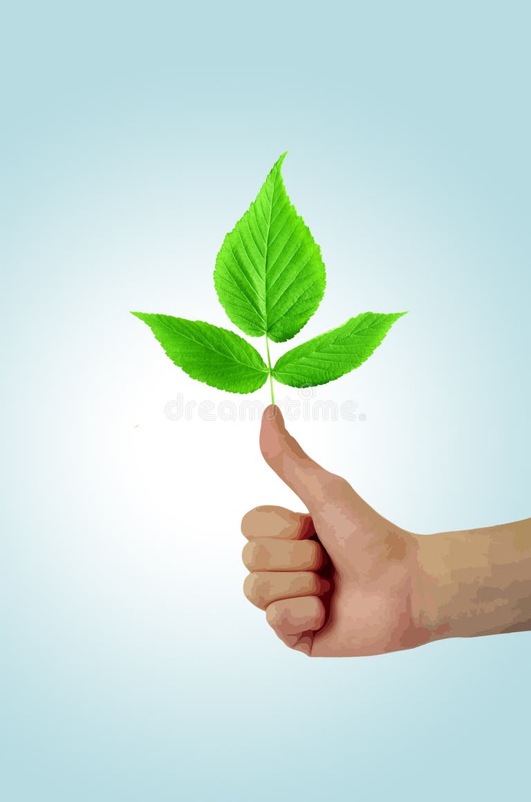 Tree Thumbs Up Stock Illustrations – 407 Tree Thumbs Up Stock ...