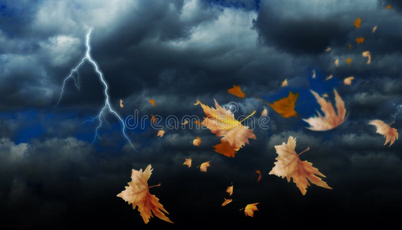 Falling Leaf 3d Stock Illustrations – 1,854 Falling Leaf 3d Stock ...