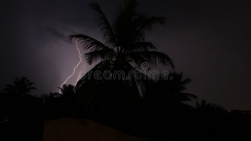103 Thunder Coconut Photos - Free & Royalty-Free Stock Photos from ...