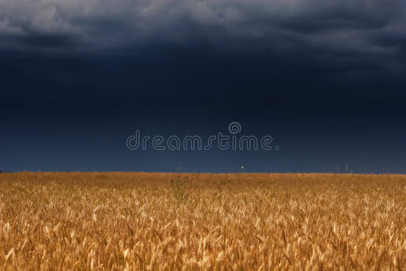 Thunder sky above field stock image. Image of colors, rural - 3473457