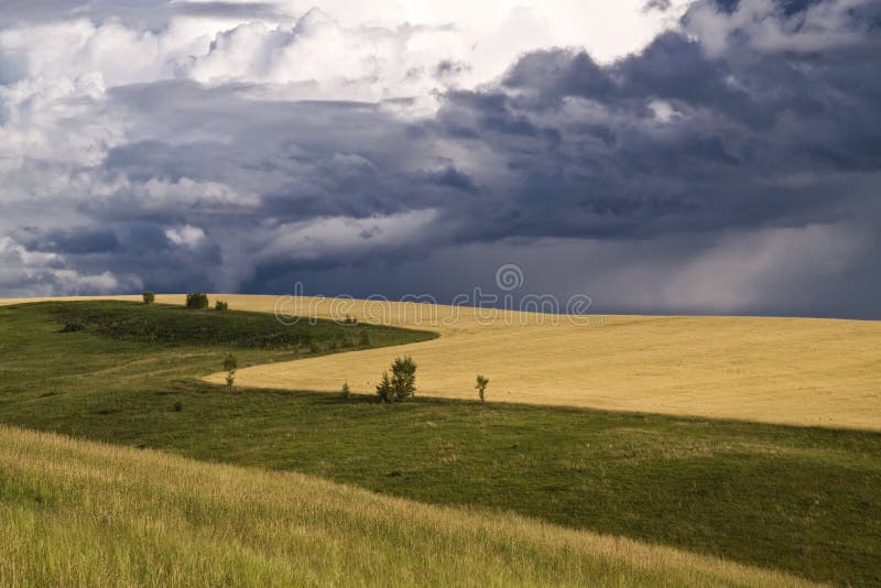 Thunder-storm over a field stock image. Image of depth - 15640567