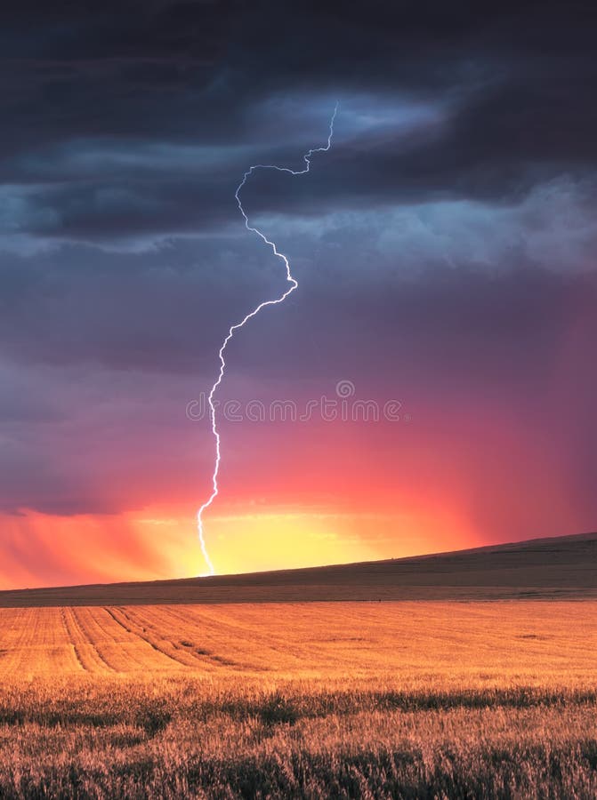 Thunder Struck stock photo. Image of meadow, storm, australia - 50680144