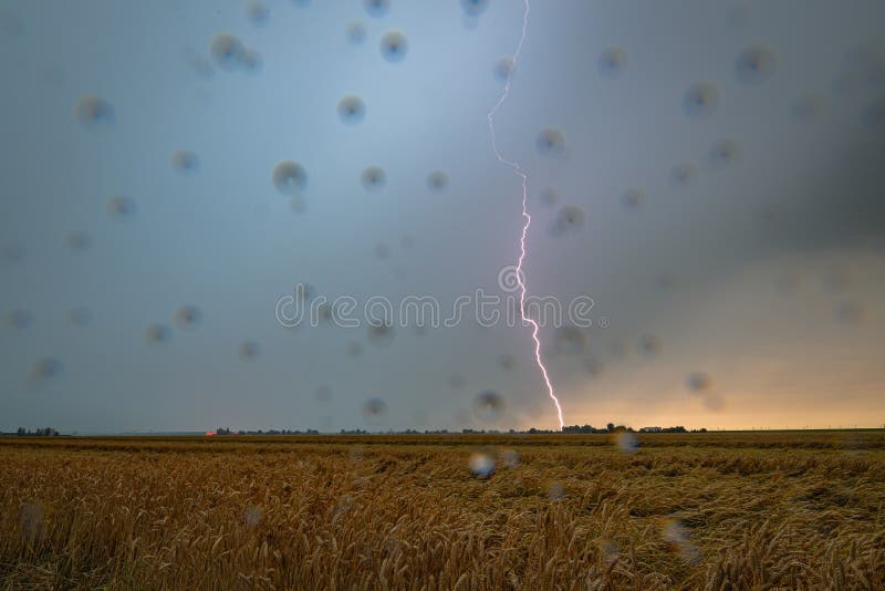 Thunderbolt of Lightning Strikes Down in a Field Stock Photo - Image of ...