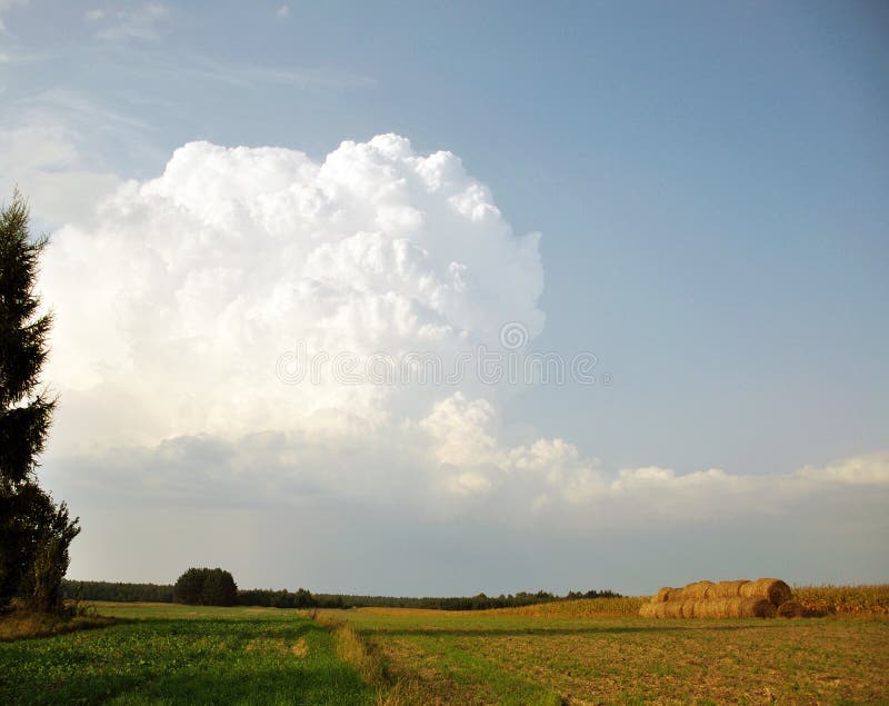 Thundercloud over a field stock photo. Image of thundercloud - 22704470
