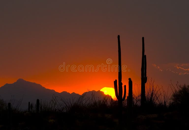 Thundershower Sunset stock photo. Image of cactus, thundershower - 387444