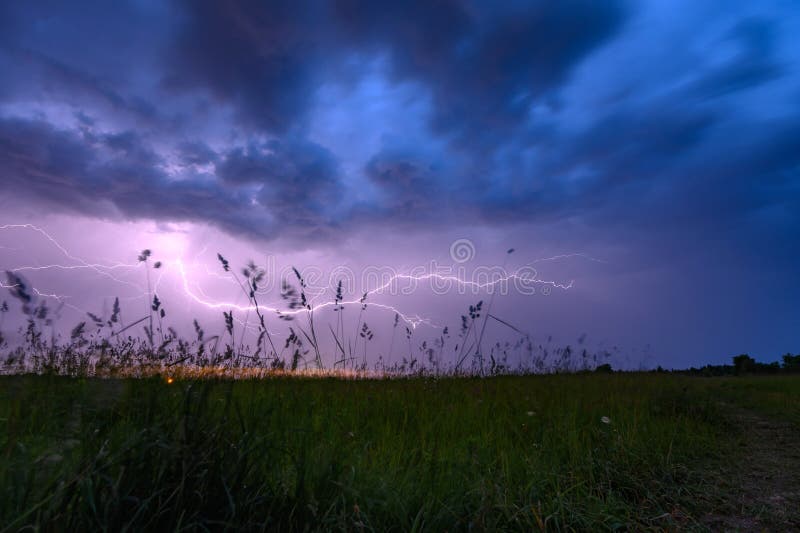 Thunderstorm Atmosphere with Lightning Over Wheat Fields with Cloudy ...