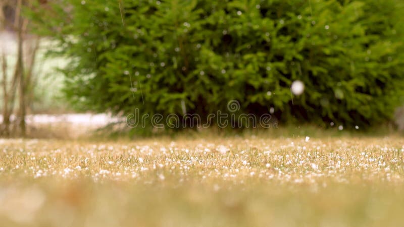 Sleet Showers Stock Footage & Videos - 5 Stock Videos