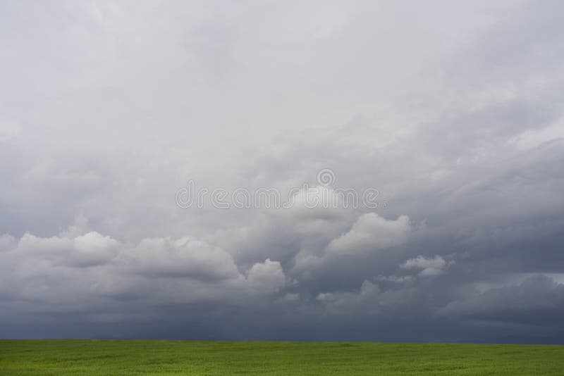 Thunderstorm Over a Field in Colorado Stock Image - Image of climate ...