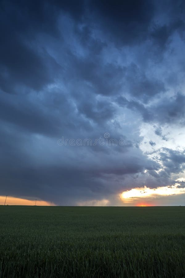 Thunderstorm Over Wheat Field Stock Photo - Image of night, dangerous ...