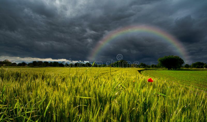 Rainbow in Summer in Alsace Stock Photo - Image of rainbow, countryside ...