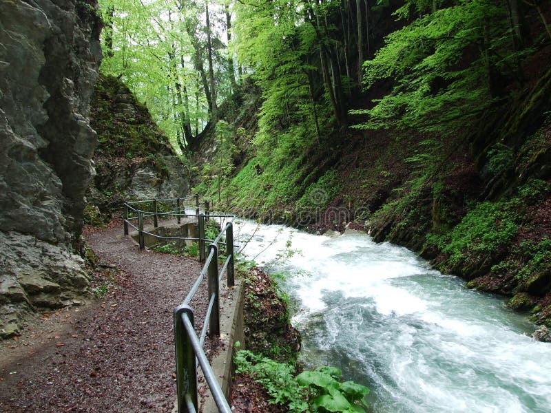 Thur-Fluss-Schlucht in Unterwasser Stockbild - Bild von natalia, hoch ...