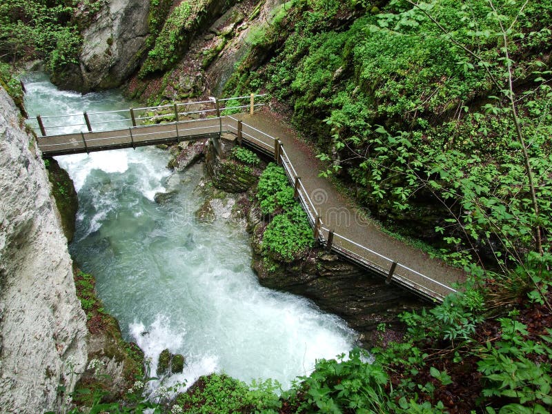 Thur-Fluss-Schlucht in Unterwasser Stockbild - Bild von frisch, wald ...