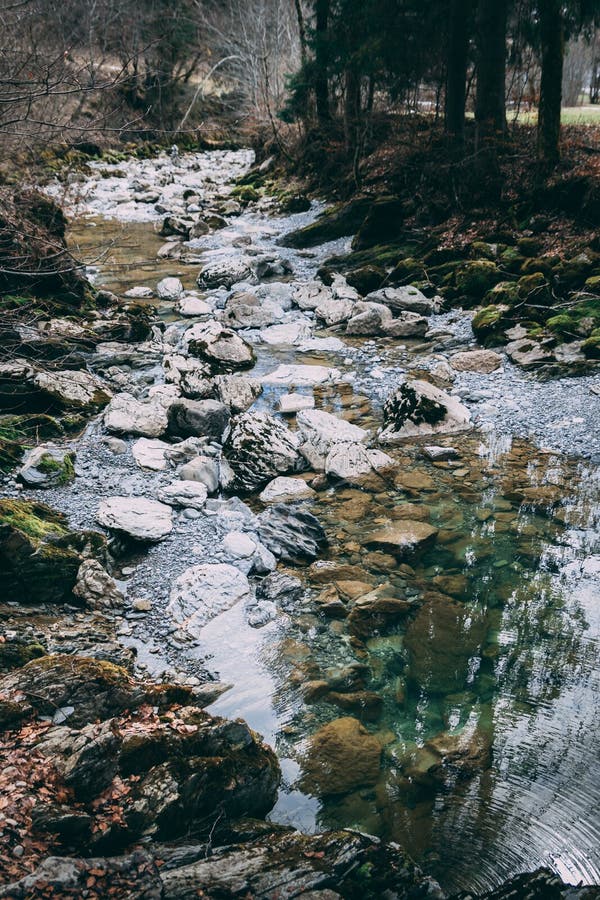 Thur-Fluss-Schlucht in Unterwasser Stockbild - Bild von frisch, wald ...
