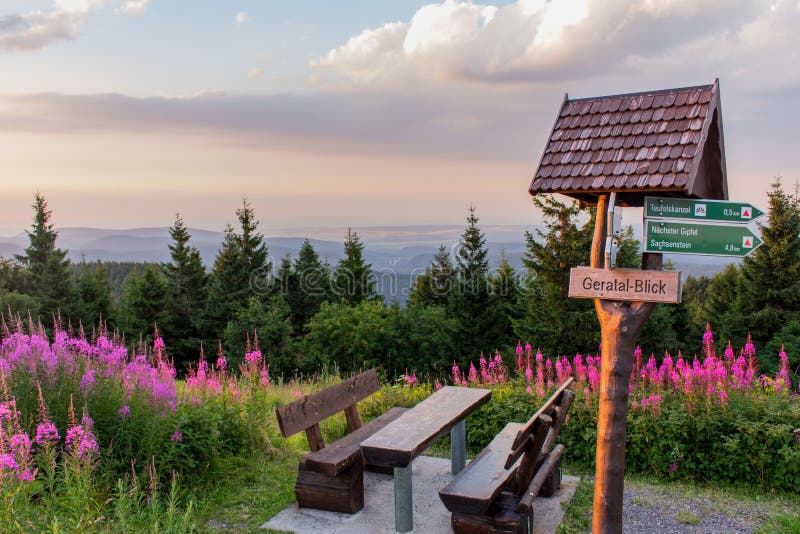 On the Way through the Thuringian Forest in Its Full Glory Stock Image ...